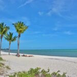 Key West: Sunset Sail Full Bar, Live Music & Dinner & Early Morning Snorkeling - The Practical Details That Matter