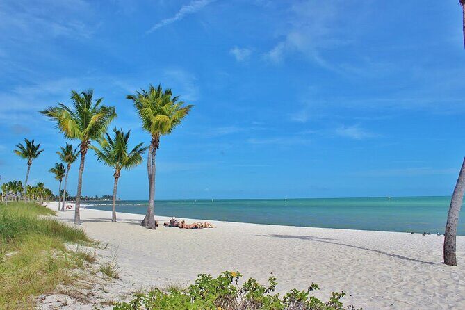 Key West: Sunset Sail Full Bar, Live Music & Dinner & Early Morning Snorkeling - The Practical Details That Matter