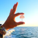 Key West: Ultimate Parasailing Experience - The Itinerary and What to Expect