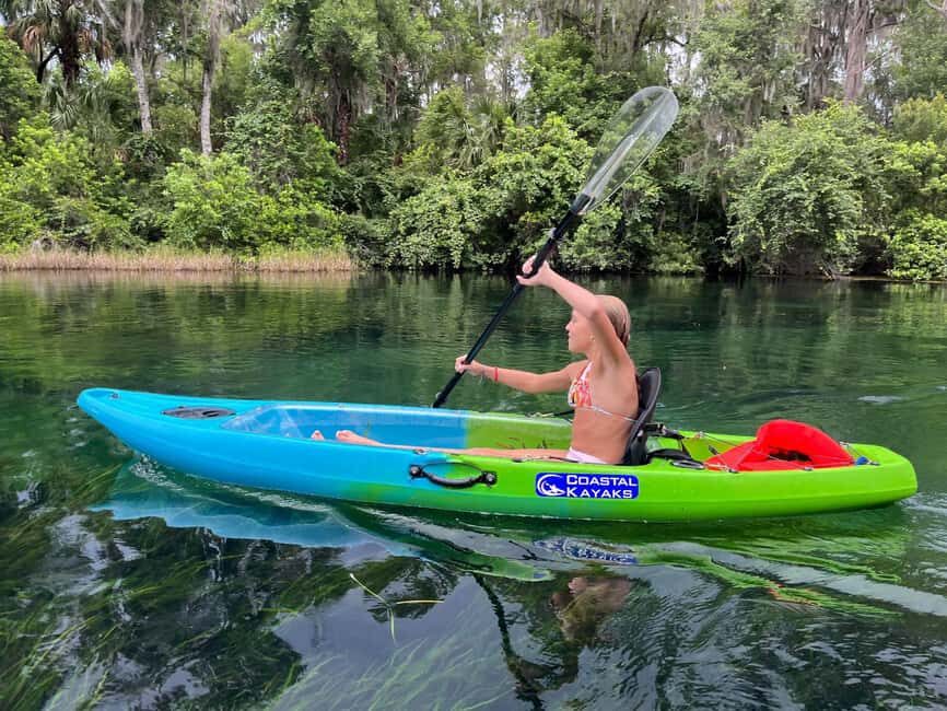 Kings Bay, Crystal River: Gentle Sunrise Manatee Kayak Tour - The Experience: Why It’s Special