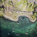 Kings Bay Eco Tours - Final Thoughts: Is It Worth It?