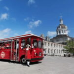 Kingston: Trolley City Tour - Practical Details and Tips
