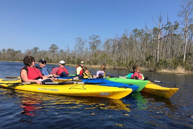 Kitty Hawk Maritime Forest Kayak Tour - Who Will Love This Experience?
