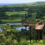 Koloa: Kauais Longest 8-Line Zipline Tour - The Experience Itself: What to Expect