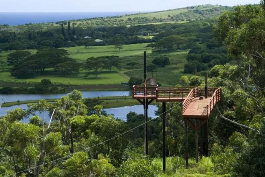 Koloa: Kauais Longest 8-Line Zipline Tour - The Experience Itself: What to Expect
