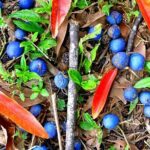 Kona Cloud Forest and Coffee Tour with Sea Turtle Beach Visit - Exploring Hawaii’s Coffee Culture