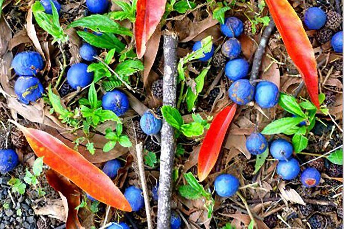 Kona Cloud Forest and Coffee Tour with Sea Turtle Beach Visit - Exploring Hawaii’s Coffee Culture