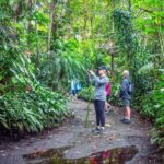 Kona Cloud Forest Sanctuary Pantropical Tour (1.5 hrs) - A Closer Look at the Kona Cloud Forest Sanctuary Pantropical Tour