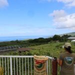 Kona Coffee Farm Tour from Tree to Tasting Room - FAQ