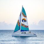 Kona Deluxe Catamaran Whale Watch - Why This Tour Offers Good Value