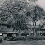 Kona Haunted Hele Ghost Tour - Who Should Consider This Tour?