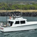 Kona Hawaii Deep Sea Fishing Escapade on the Bite Me 6 - Practical Tips for Your Trip