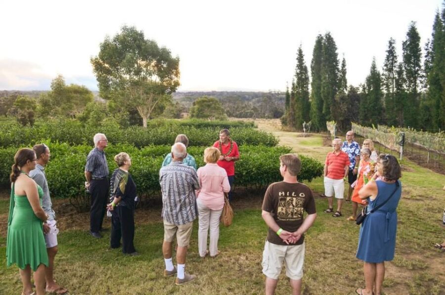 Kona: Hawaii Volcanoes National Park Tour - What Makes This Tour Great?