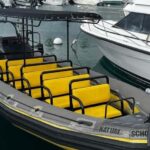 Kona Hi, Sunset Manta Ray Tour 10 passengers maximum - Final Thoughts: Is It Worth It?