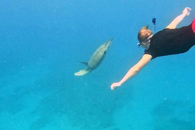 Kona Snorkeling Adventure Open Charter - Who Will Love This Tour?