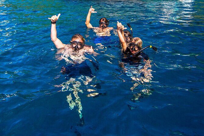 Kona Snorkeling Gear Rental Dive Into Adventure - The Value for Your Money
