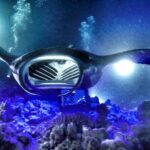 Kona Town Manta Sunset Snorkel - Why You Should Consider This Tour