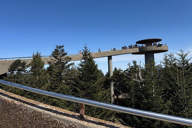 Kuwohi Mountain Great Smoky Mountains Tour - Why This Tour Works for You