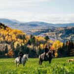 La Bleuetière: A charming introduction to horseback riding - The experience’s value and practical details