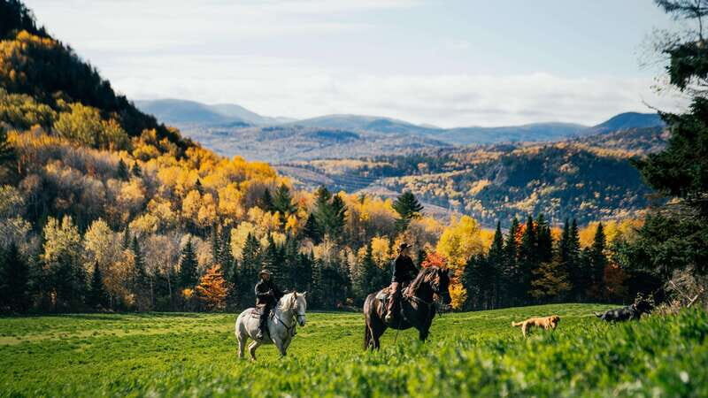 La Bleuetière: A charming introduction to horseback riding - The experience’s value and practical details
