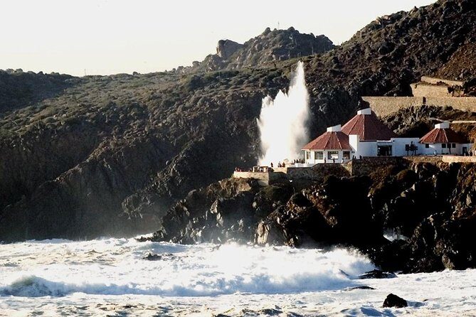 La Bufadora Tour in Baja California - Why This Tour Offers Great Value