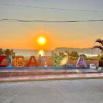 La Crucecita: Magic Lagoon Bioluminescence and Turtles Tour - Cost and Value
