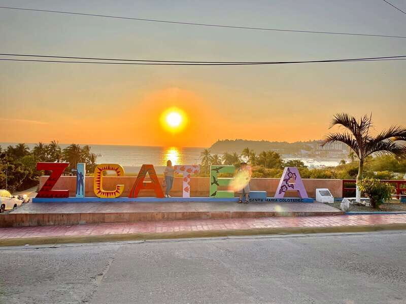 La Crucecita: Magic Lagoon Bioluminescence and Turtles Tour - Cost and Value