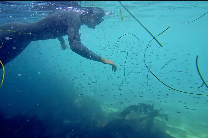 La Jolla Kayak and Snorkel Tour - Final Thoughts