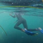 La Jolla Snorkel with the Leopard Sharks - Key Points