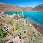 La Paz: 3-Beach Snorkeling Tour with Lunch and Drinks - What’s Special About Each Beach?