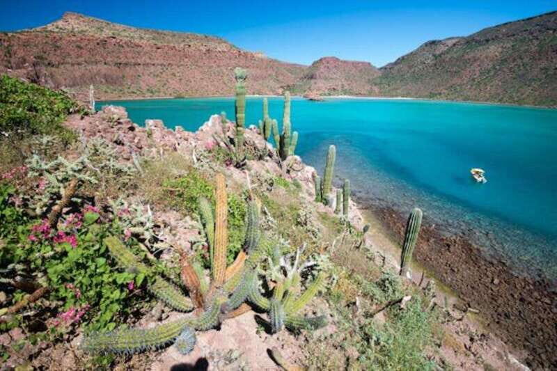 La Paz: 3-Beach Snorkeling Tour with Lunch and Drinks - What’s Special About Each Beach?