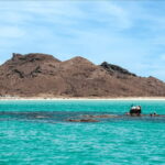 La Paz: Boat ride to Espiritu Santo island and sloop - What’s Included and What’s Not