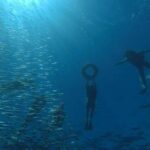 La Paz: Espíritu Santo Island Snorkeling Tour with Lunch - What’s Included and What’s Not