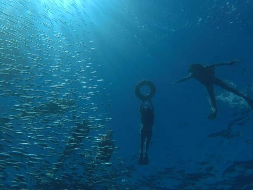 La Paz: Espíritu Santo Island Snorkeling Tour with Lunch - What’s Included and What’s Not