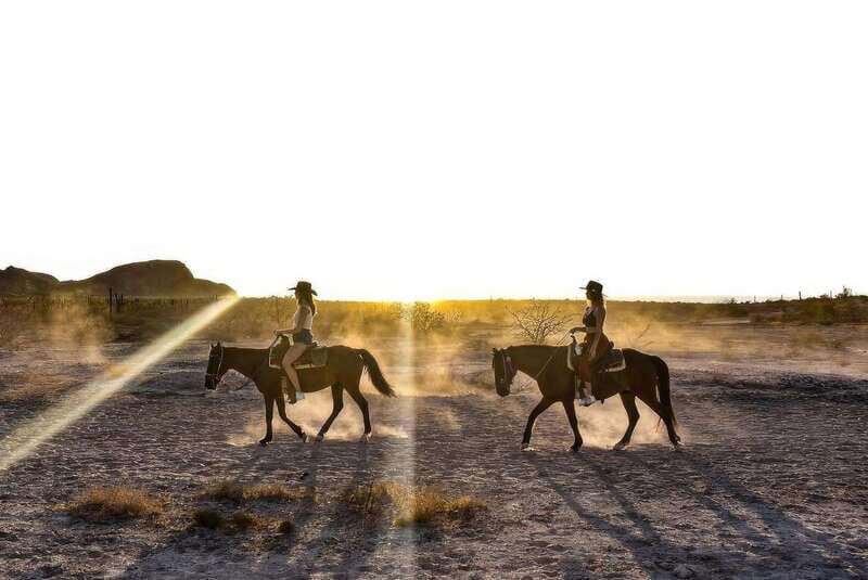 La Paz: Horseback Riding - Authenticity and Ethical Considerations