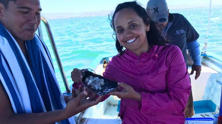 La Paz: Mangrove Adventure, Snorkeling and Shellfish Tasting - Detailed Breakdown of the Experience