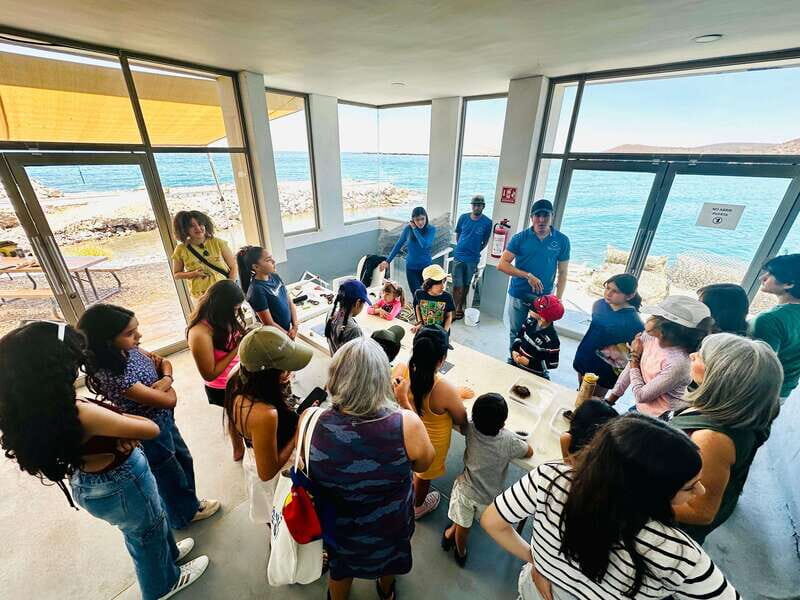 La Paz: Pearl Farm Experience and shop - The Experience in Detail: A Deep Dive