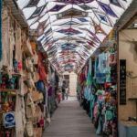 La Paz: Todos Santos Day Trip - A Closer Look at the Tour Experience