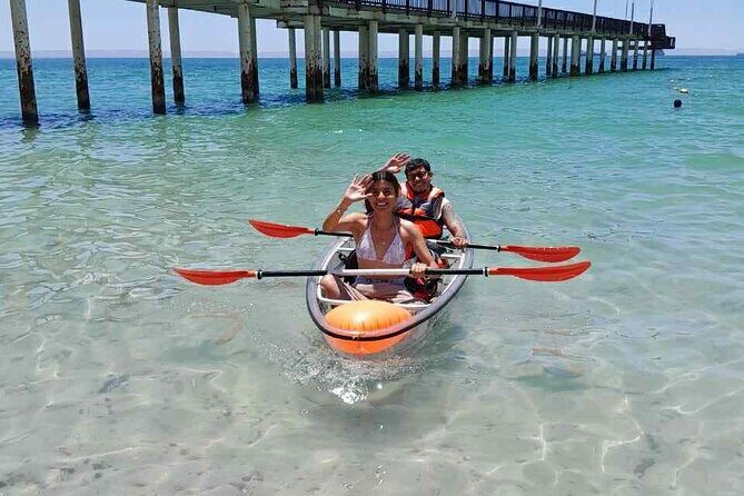 La Paz Transparent Kayaks & Paddle Boards - The Experience: What You’ll Actually Do