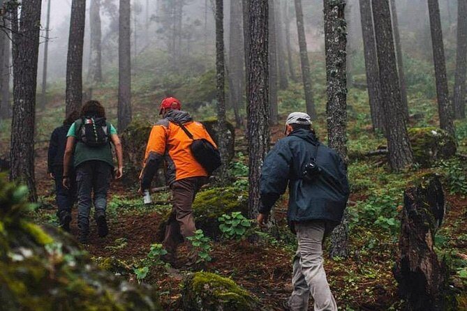 La Pirámide Park // WALK AND DISCOVER THE PARK - Who Should Consider This Tour?