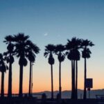 LA River Eco Tour and Secret Stair Hike - Who Should Consider This Tour?