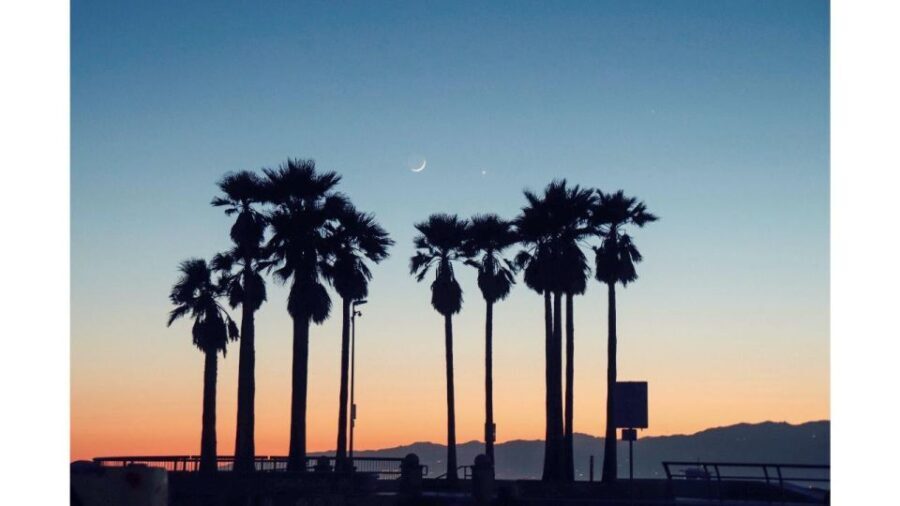 LA River Eco Tour and Secret Stair Hike - Who Should Consider This Tour?