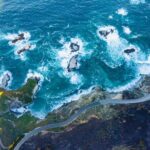 LA to Santa Monica & Malibu: Private Coastal Day Trip - Who Will Enjoy This Tour?