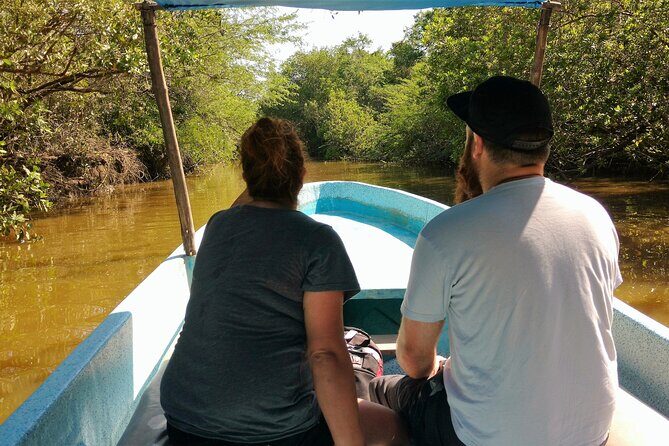 Lagoon Adventure: Jungle, Turtle Release & Cliff Diving Spectacle - An In-Depth Look at the Lagoon Adventure Experience