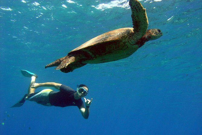 Lahaina Kayak and Snorkel Excursion - What Travelers Say