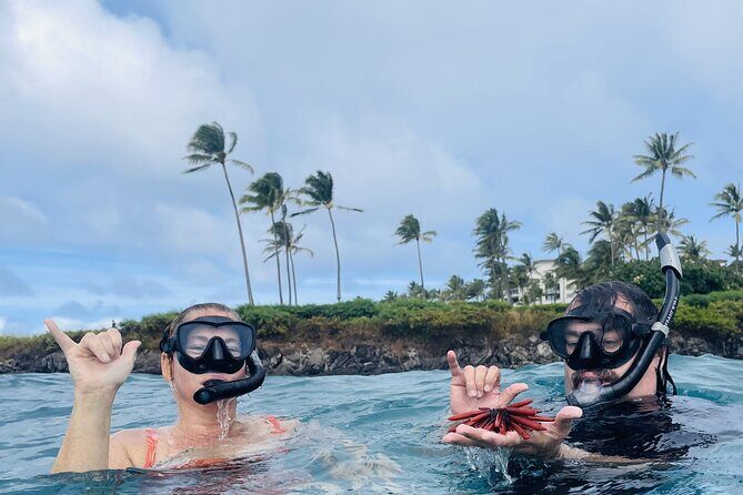 Lahaina Reef Snorkeling Adventure in Maui - Who Should Consider This Tour?