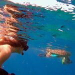 Lahaina Small Group Snorkeling Adventure - The Itinerary: A Step-by-Step Breakdown
