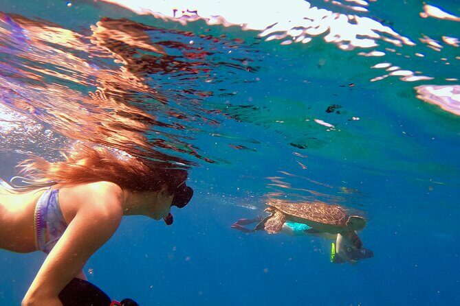 Lahaina Small Group Snorkeling Adventure - The Itinerary: A Step-by-Step Breakdown