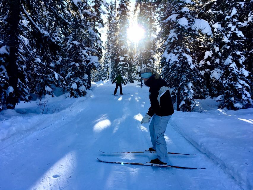 Lake Louise: Cross Country Skiing Lesson with Tour - Experience Overview