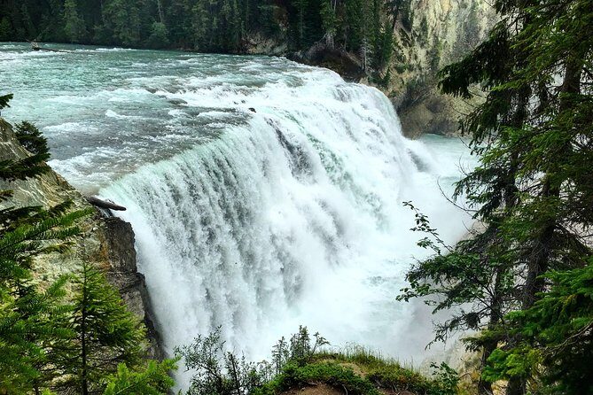 Lake Louise, Moraine Lake & Yoho Waterfalls from Golden BC Tour - The Experience from Travelers’ Perspectives